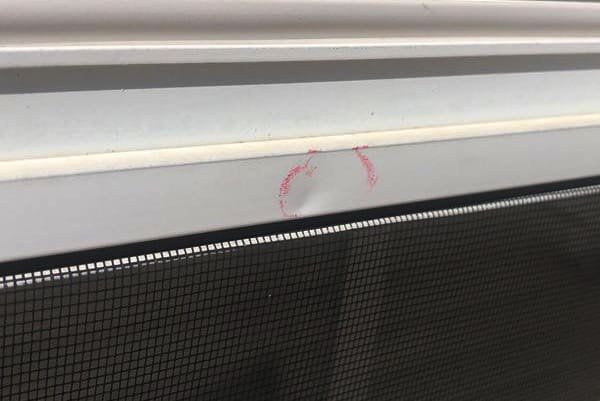 What Does Hail Damage Look Like? - Residential and Commercial Roofing ...